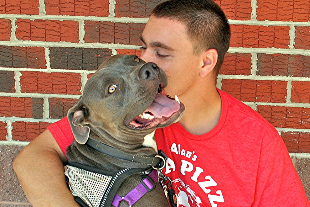 Main Line Deputy Dog-2016 | Inglis